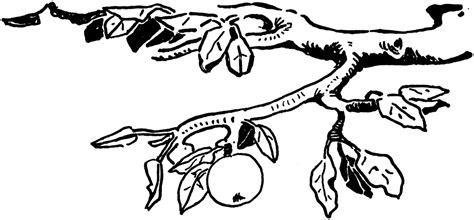 Apple Tree ClipArt ETC