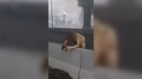 Al Menos Tres Fallecidos Y 70 Heridos En Ciudad De México Por La