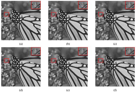 A Sar Image Despeckling Method Based On Hosvd Using Tensor Patches