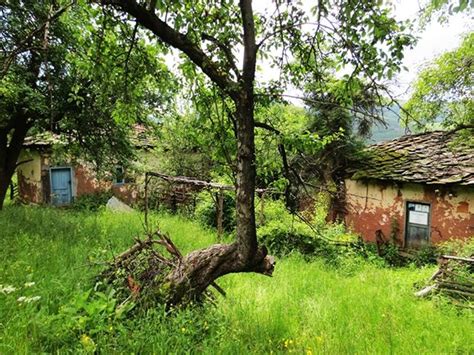 В южното подножие на връх Кошущки се намира къщата на Иван Дангов в която през 1917 та и 1918