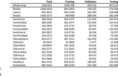 Class Ratios Positive Negative Of Training Validation And Testing
