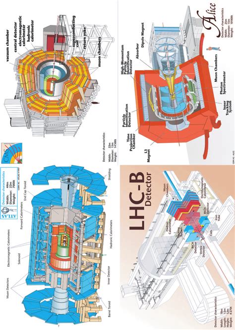 2 Schematic Drawings Of The Four Lhc Detectors Download Scientific