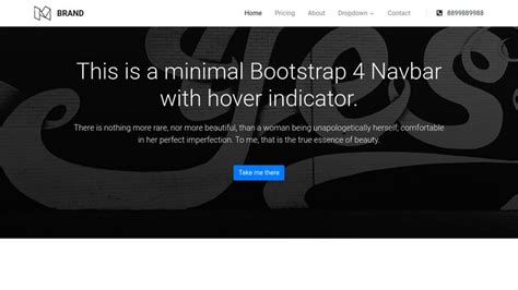 Bootstap Navbar 5