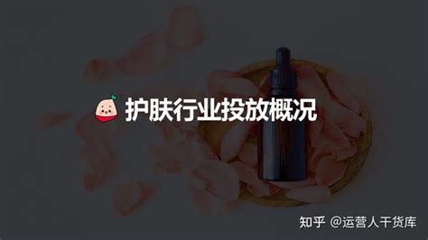 2023小红书护肤行业投放指南 知乎