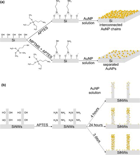 Self Assembled Au Nanoparticle Monolayers On Silicon In Two And Three Dimensions For Surface
