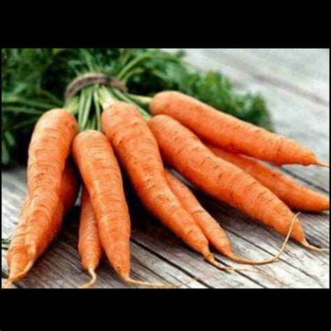 Хүнсний ногоо сүү цагаан идээ мал мах худалдаа авна зарна