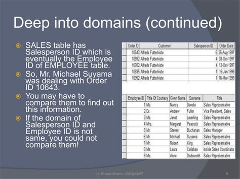L4 Domain Integrity Ppt