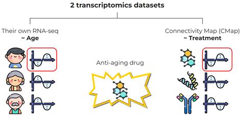 Transcriptomics Based Longevity Drug Discovery — Computational Aging Book