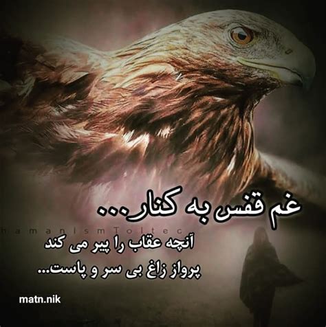 فایق علیزایی