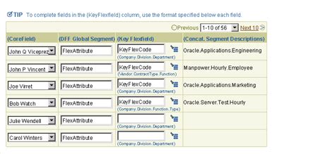 Blaf Guidelines Flexfields Custom Fields