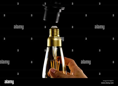 Screwing The Light Bulb Into The Socket High Quality Stock Photo Alamy