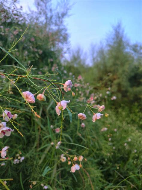 Georgian Dushyant On Linkedin Photography