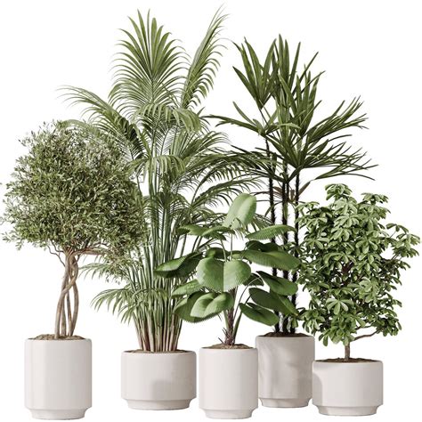 Av Indoor Plants Set 186 3d Model Download Houseplants On
