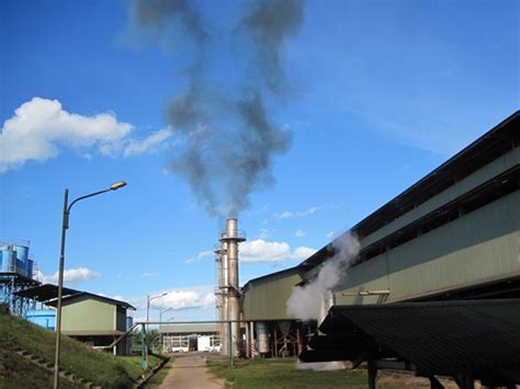 Palm Kernel Oil Refining Machine Oil Refining Machine Oil Refinery Technology Oil Refining