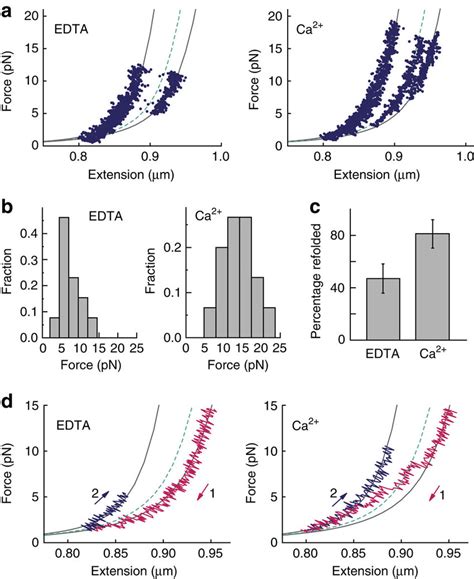 Calcium Modulates The Folding And Unfolding Pathways Of A2 Under Download Scientific Diagram