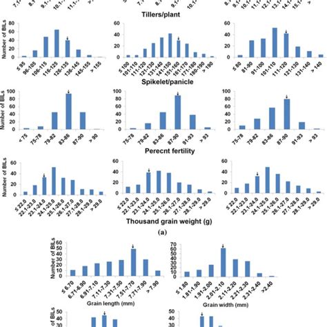 A Graphical Plots Of Phenotypic Variation For Major Yield Component