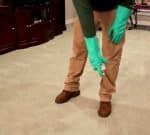 How To Get Rid Of Fleas In 4 Steps DIY Joy