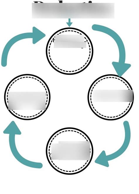 Exam 1 Stuff Diagram Quizlet