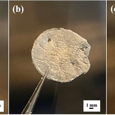 Digital Photograph Of The Lithium Metal Anodes After 350 Download