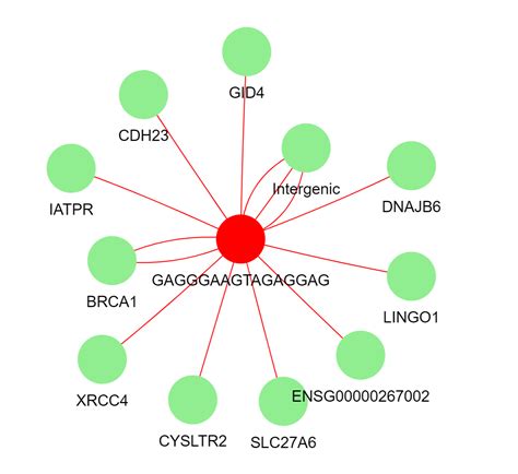 24 Sequence Tab Ttsbbc Manual