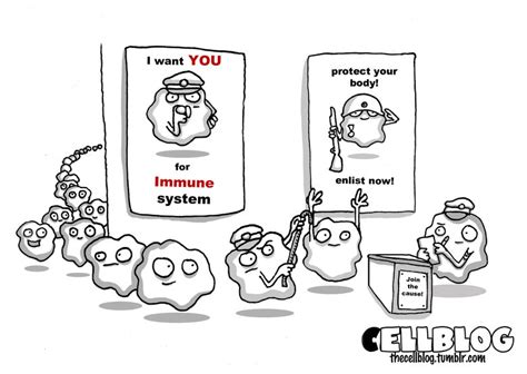 Silent But Deadly And Beneficial Natural Killer Cells Flow