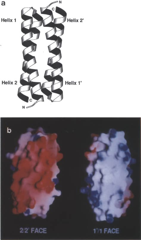 Figure 1 From Dissecting Rna Protein Interactions Rna Rna Recognition By Rop Semantic Scholar