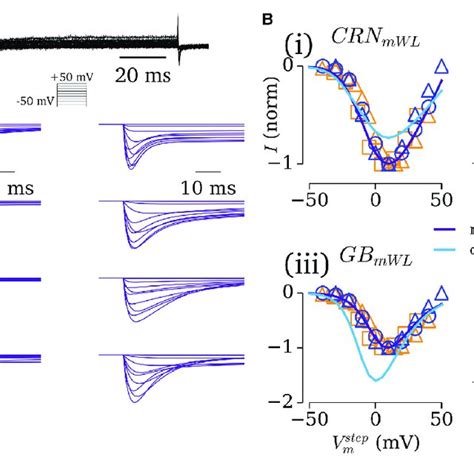 Fitting The L Type Calcium Current A Current Traces For