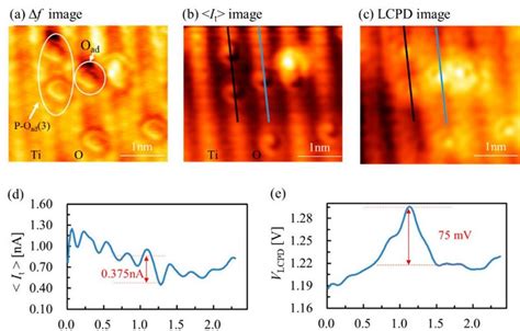 Frequency Modulation Kelvin Probe Force Microscopy Blog Nanosensors™ Randd Leaders In Afm