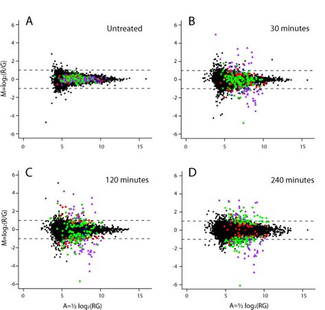 general overview of the filtered and normalised data for each of the