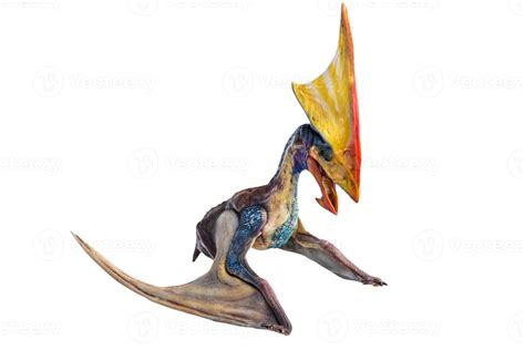 Dinosaur Tupandactylus Isolated Background Clipping Path 14028451