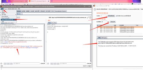 Portswigger Academy Os Command Injection 操作系统命令注入java Os Command