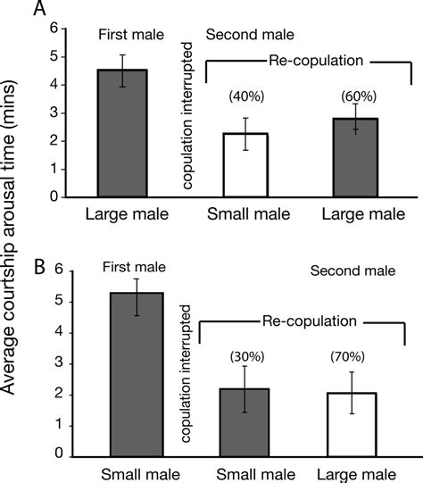 Copulation Interruption Assays To Test For Female Preference Between Download Scientific
