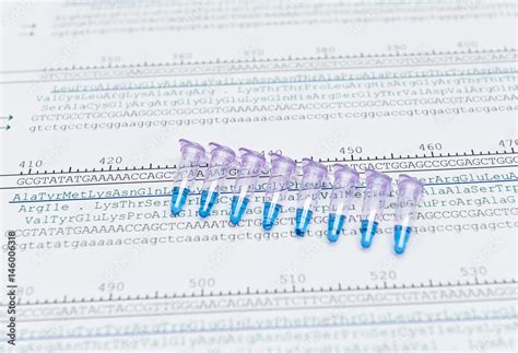 Protein Sequencing By Analysis Of Codon Sequence Of DNA Stock Photo Adobe Stock