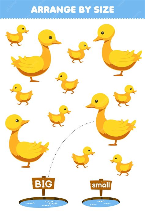어린이를 위한 교육 게임은 귀여운 만화 오리 인쇄용 농장 워크시트의 연못에 크거나 작은 크기로 배열합니다 프리미엄 벡터