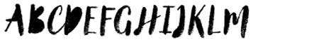 Canvas Script Regular Fill Font What Font Is