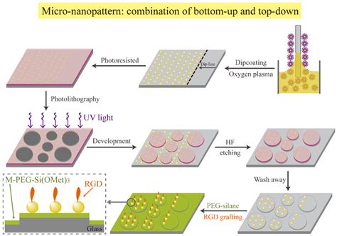 Department Of Macromolecular Science Fudan University
