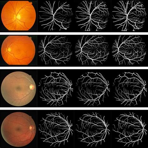 Segmentation Results Of Cross Dataset Evaluation The First Column To