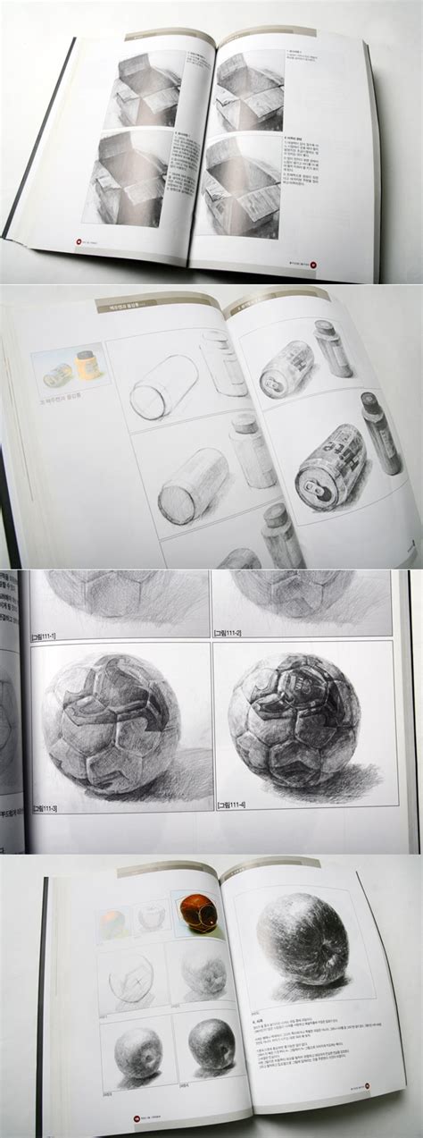 그림그리기강좌 데셍기초 미술뎃생 그림 동영상 강의 드로잉 초보 책 교재 볼 수 있으면 그릴 수 있다 맛있는 그림