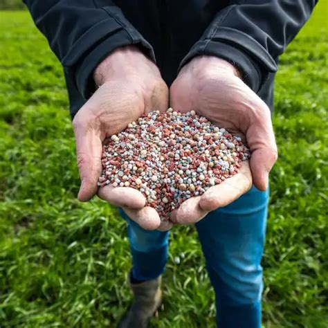 Understanding The Disadvantages Of Granular Fertilizer