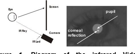 Glint Vector At Collection Of Glint Vector Free For