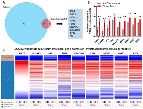 Identification Of Flap Endonuclease 1 As A Potential Core Gene In