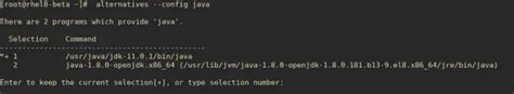 Install Java 11 Openjdk 11 On Rhel 8 Rocky 8 Computingforgeeks