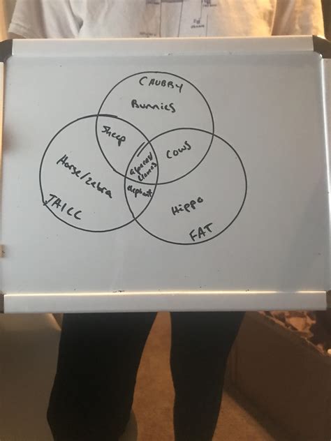 I Asked My Wife The Difference Between Thick Chubby And Fat She