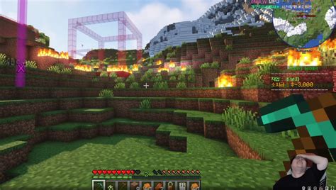 울프 마치 티원을 보는거같네요 치지직 에펨코리아