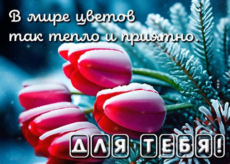 Открытка с тюльпанами Для тебя В мире цветов так тепло и приятно
