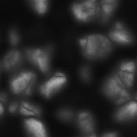 Oily Rock Texture Height Map