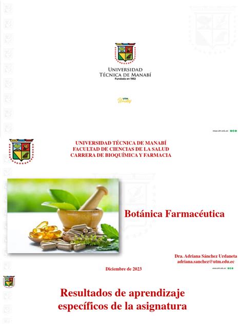 Unidad 4 Clase 2 Plantas Sin Semillas Pteridofitas Pdf Helecho