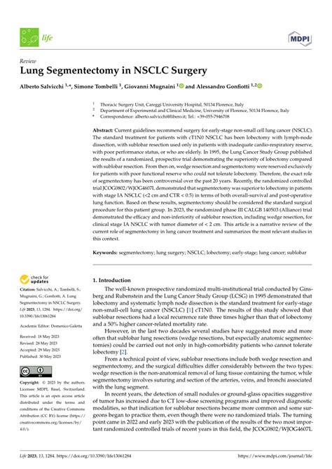 Pdf Lung Segmentectomy In Nsclc Surgery