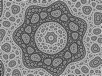 9 Turing Patterns Ideas Pattern Patterns In Nature Fractal Art