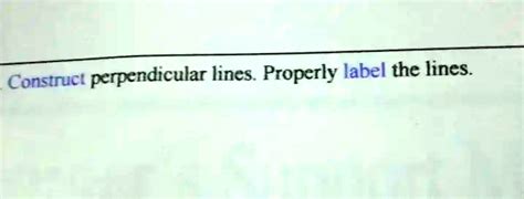 SOLVED Construct Perpendicular Lines Properly Label The Lines